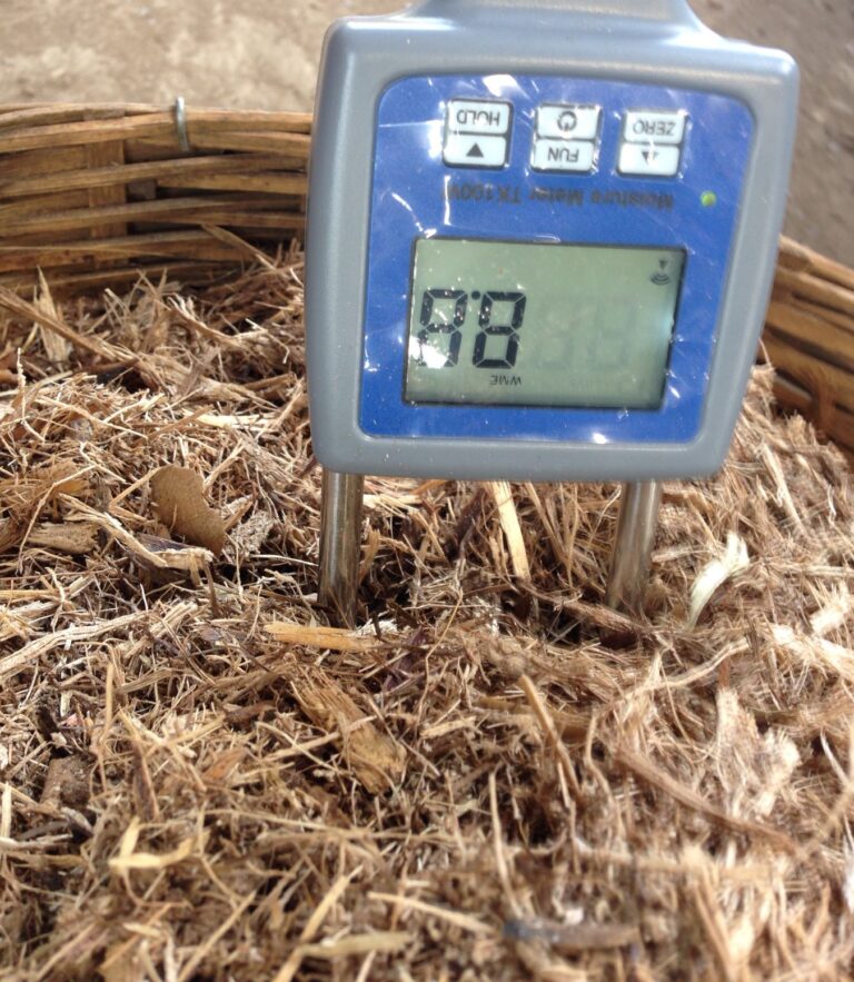 DRY SUGARCANE BAGASSE - An Phu Imex Co., Ltd